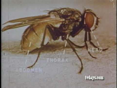 Kodak Motion Picture Film Opens the World