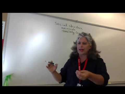 Lesson 8 social institutions social structure