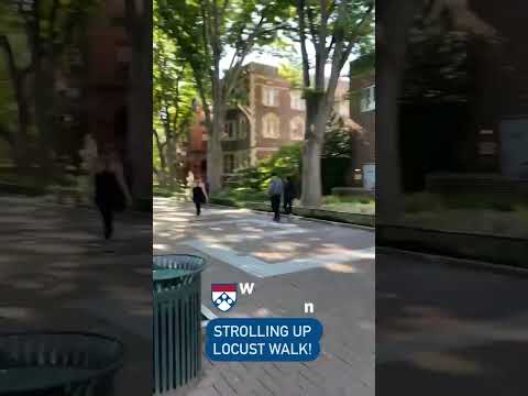 Summertime on the Wharton/Penn campus! 😎