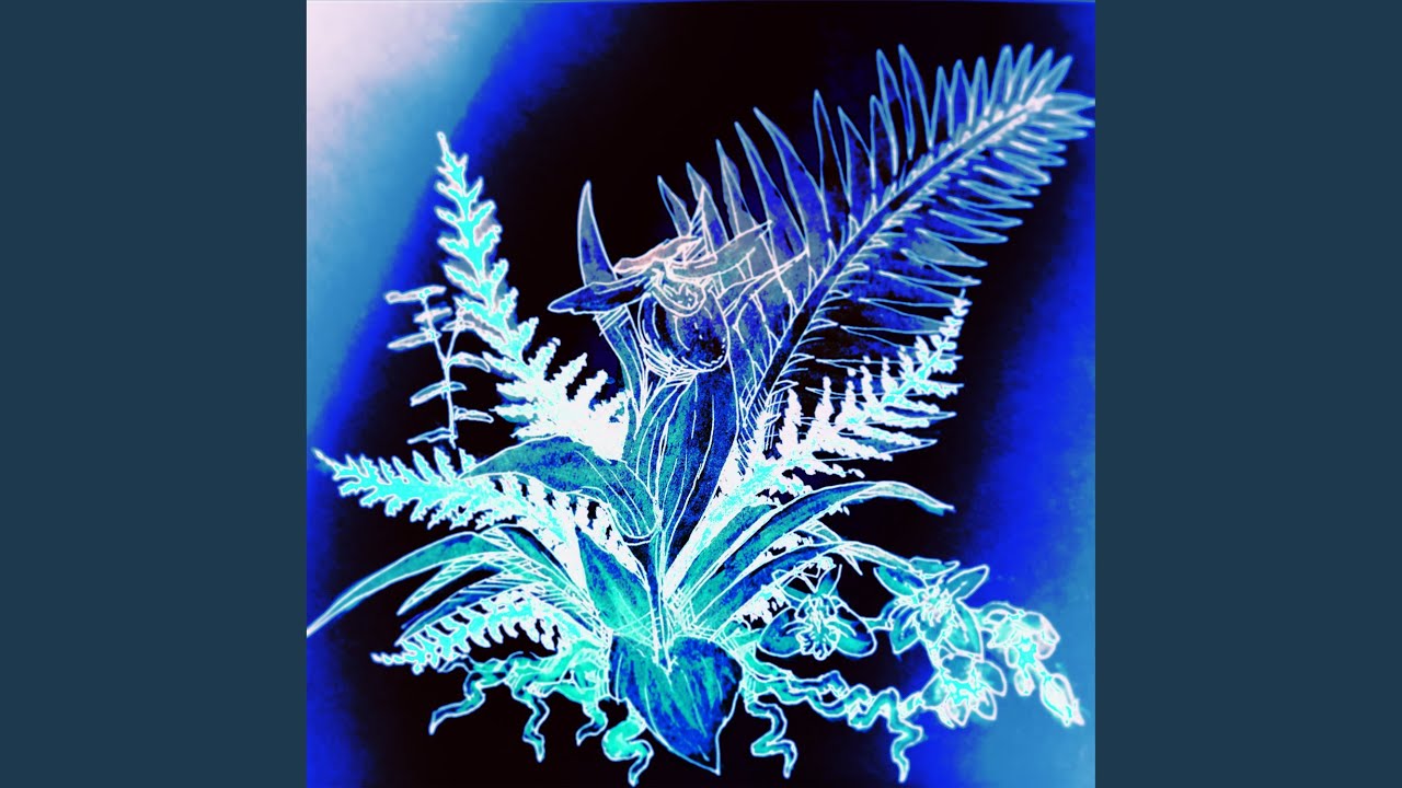 orchids (playlist Version)