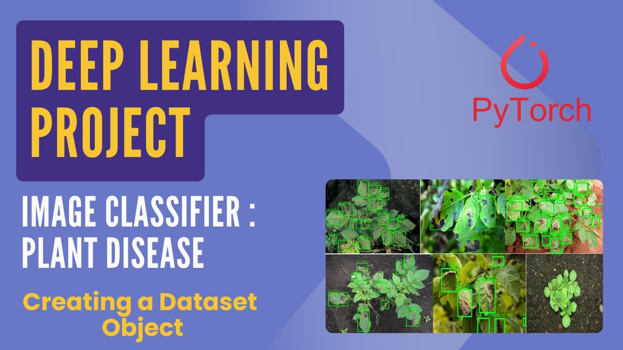 Deep Learning Project: Plant Disease Detection | PyTorch | Creating Custom Dataset