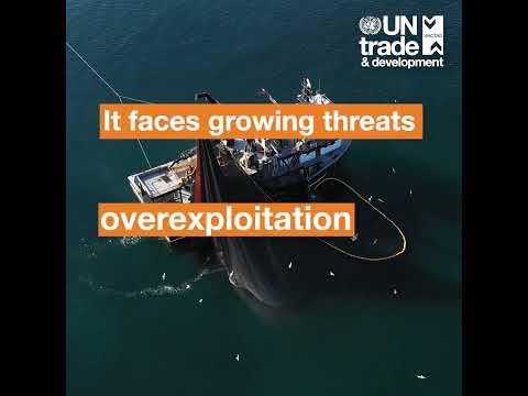 UNCTAD explains the ocean economy