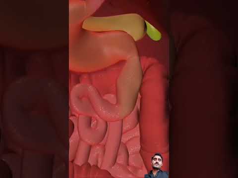 #doctor #digestivesystem #biology #duodenum #anatomy #science