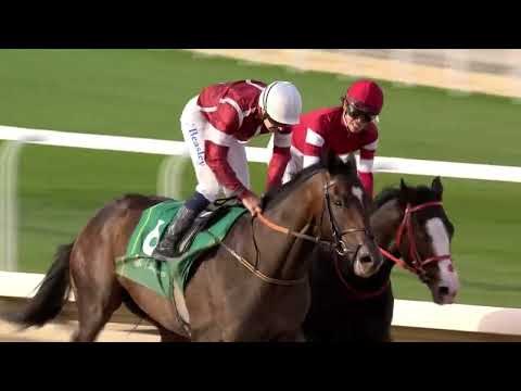サウジダービー（G3） 2025/2/22(土) | 日程・結果 | JRA-VAN World - 海外競馬情報サイト