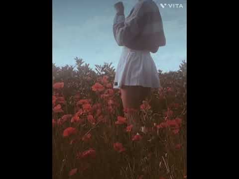 Aesthetics that fit the name Ellie