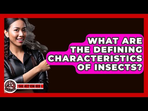 What Are The Defining Characteristics Of Insects? - The Action Reel
