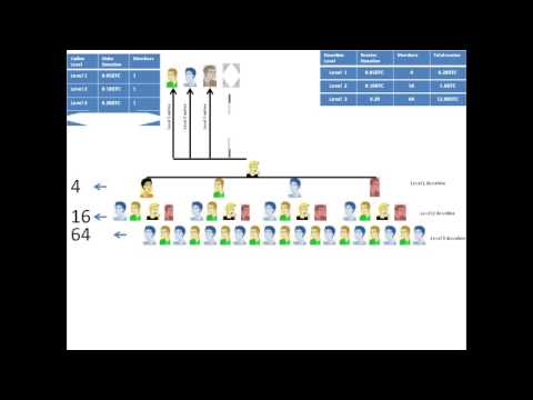 simply how bitfunding system works?
