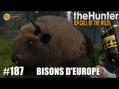 Steam Community :: Video :: THEHUNTER CALL OF THE WILD GAMEPLAY #187 ...