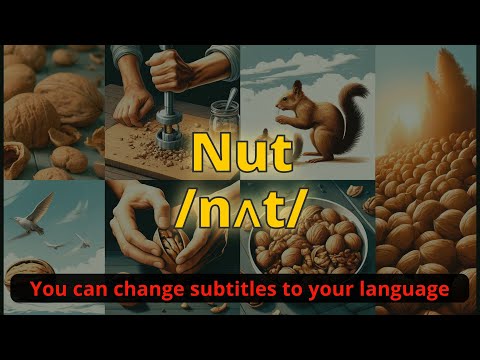 Nut meaning with 5 examples