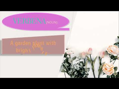 VERBENA | Dictionary| Thesaurus| Vocabulary| Synonyms|Word| Meaning| English| Language|