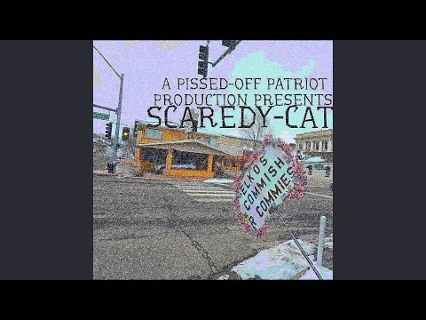 Scaredy Cat