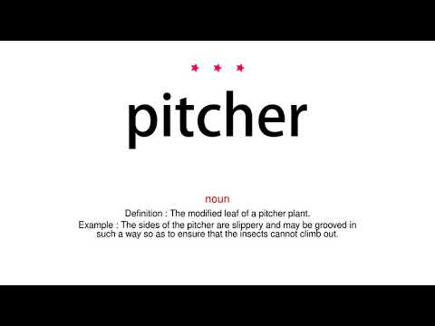 How to pronounce pitcher - Vocab Today