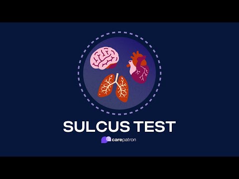Sulcus Test