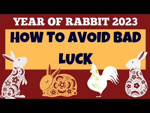 Year of Rabbit 2023 How to Avoid Bad Luck For 12 Animals