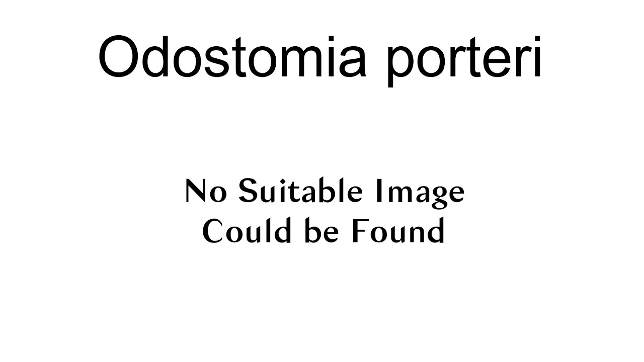Odostomia Porteri