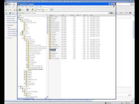 CSIS-3020 Web Programming and Design - Introduction to Server-Side Scripting