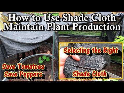 Beat the Heat - How to Select & Use Shade Cloth in Your Garden: Keep Tomatoes & Peppers Producing!