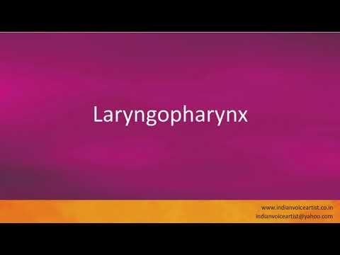 Pronunciation of the word(s) "Laryngopharynx".