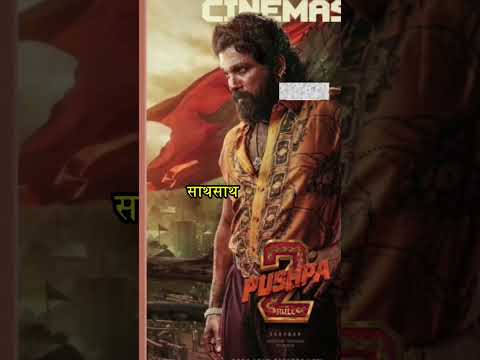 Pushpa: The Story Of A Blockbuster! | Pushpa 2 Collection #shorts #review #collection