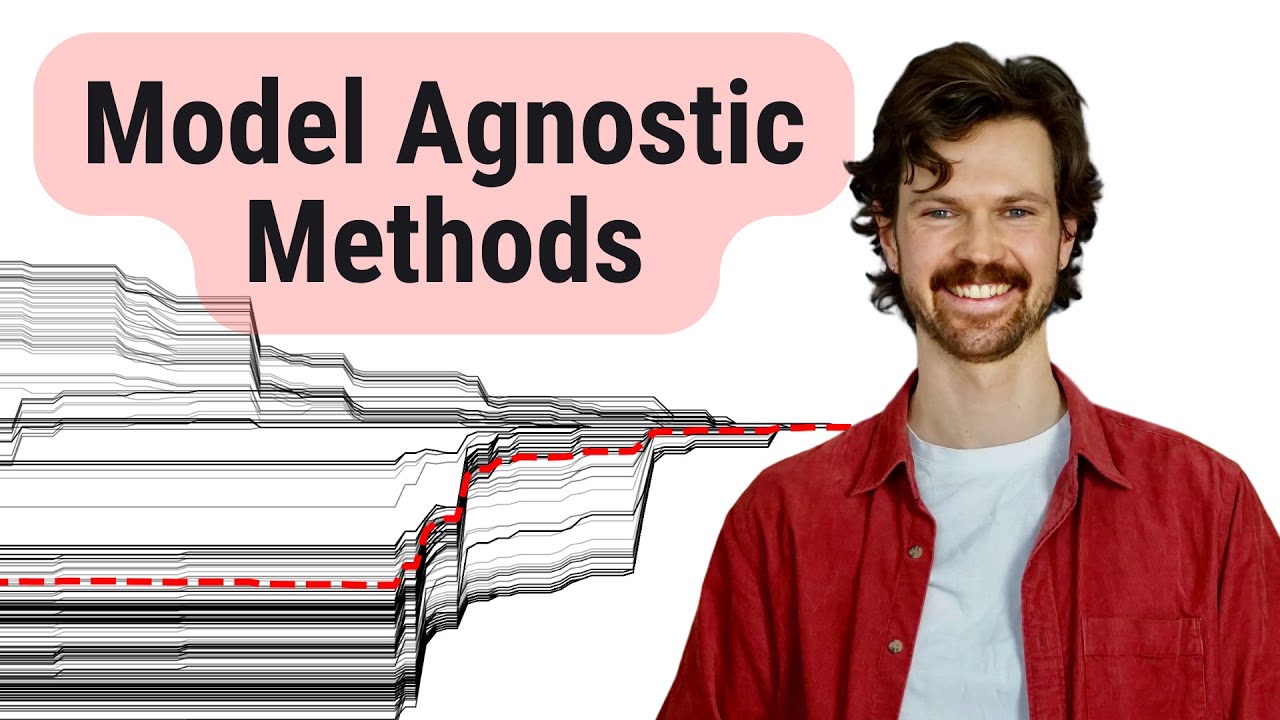 Model Agnostic Methods for XAI | Global v.s. Local | Permutation v.s. Surrogate Models
