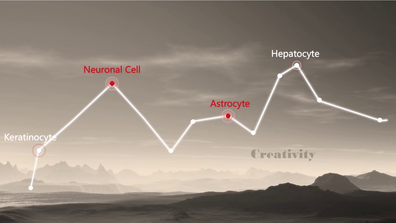 Differentiation of iPSCs