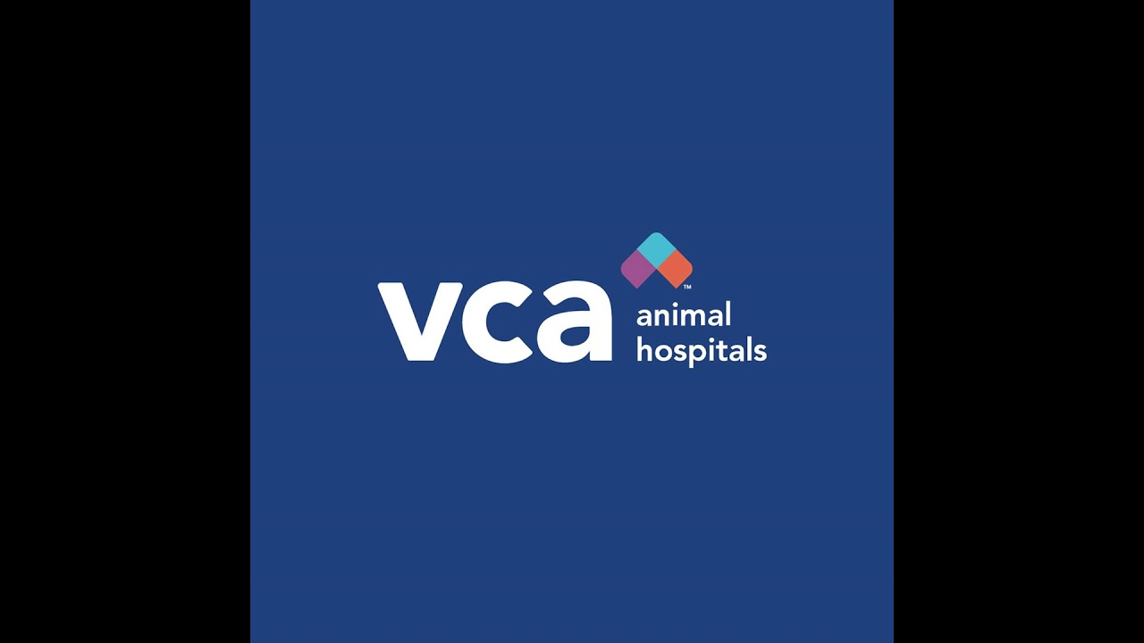 A Journey in Veterinary Neurology: Dr. Karen Kline