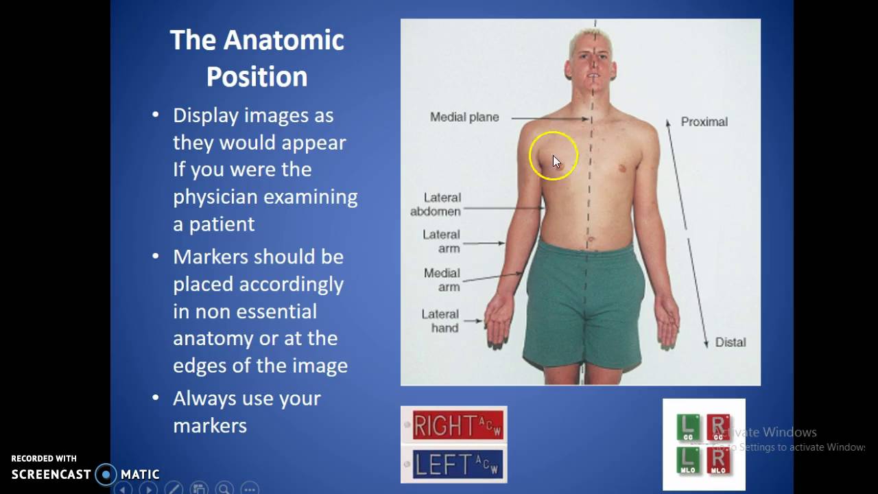 PPT chest 2016