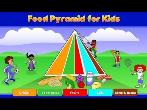 Science Kids | Food Pyramid | Food For Kids | Learning For Kids - Games For Childrens