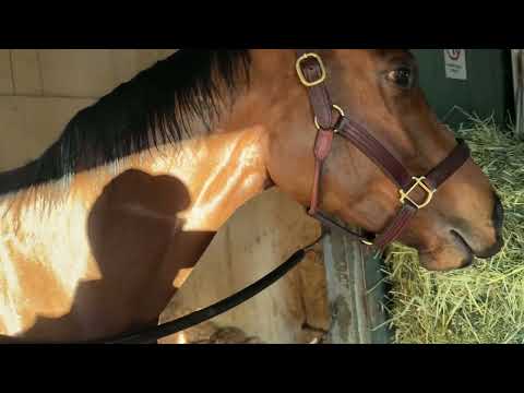 Simply Enchanting Post Work 12/1