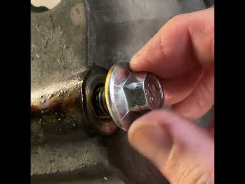Engine Oil Drain Plug - GM 11562588