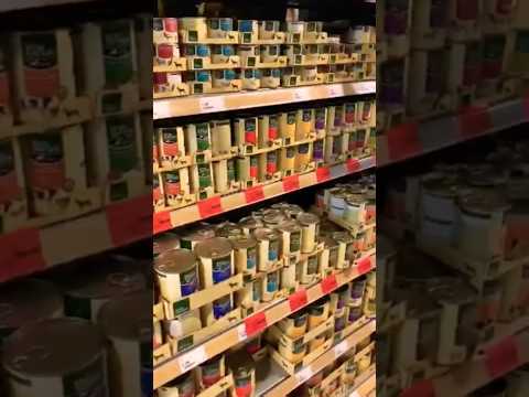I Explored The BIGGEST Cat Food Aisle!