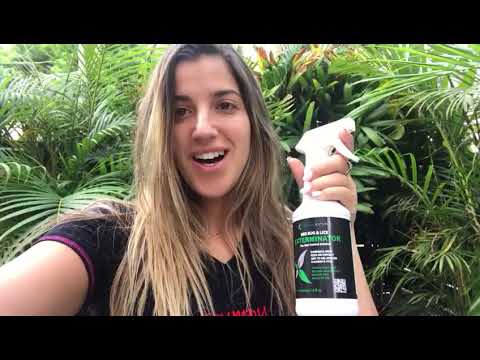 BedBug 911 - 16oz Spray