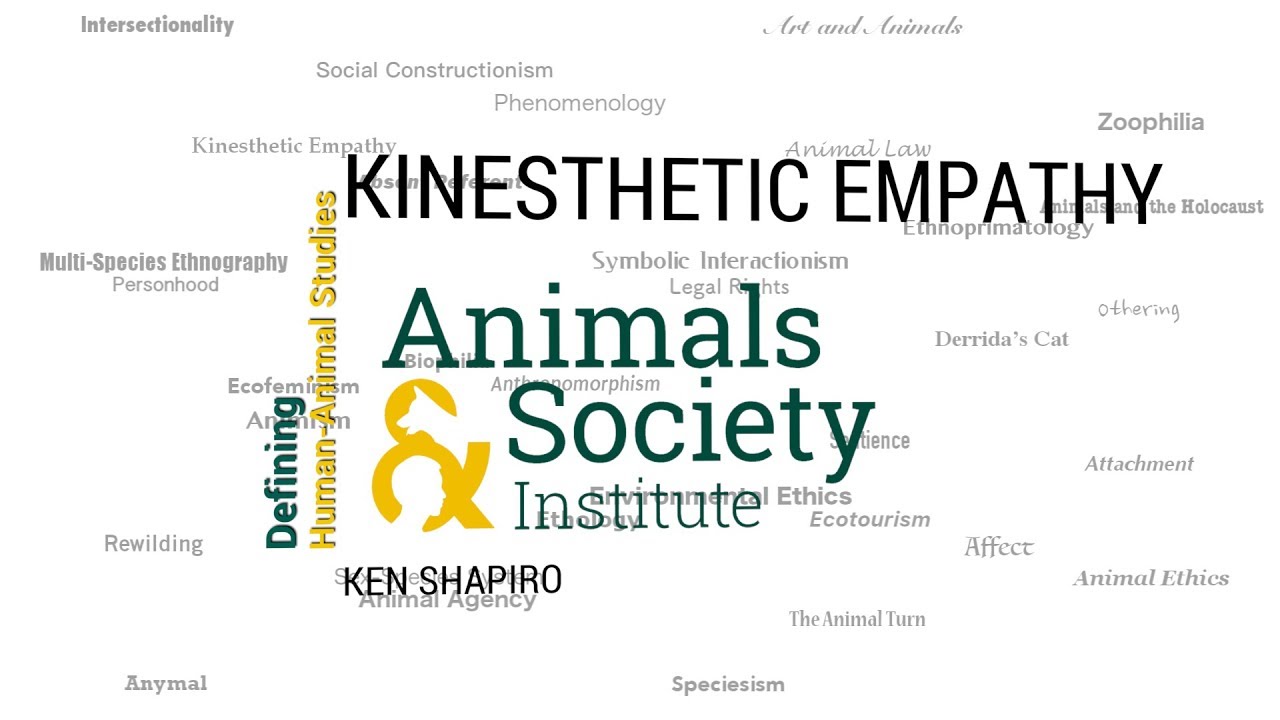 Defining Kinesthetic Empathy with Ken Shapiro - ASI's Defining Human-Animal Studies 37