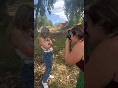 Video of adoptable pet named Lola