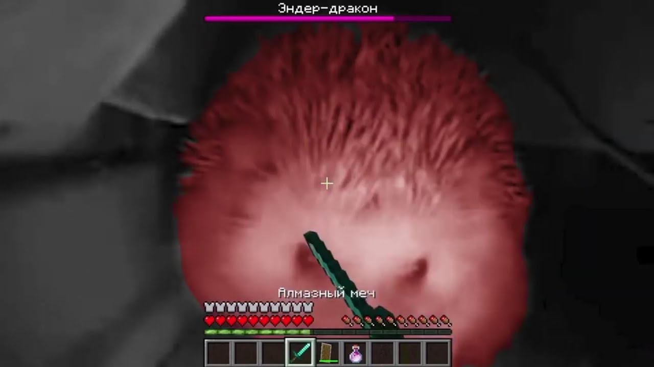 Hedgehog sneezes all versions