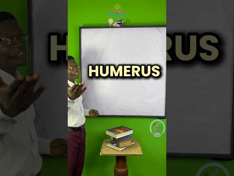 Anatomy and Physiology Class - Humerus Rap