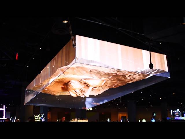 3D Floating Face Illusion - The Awesomer