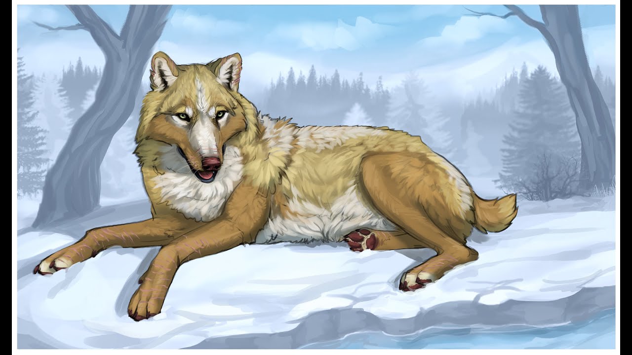 Snowbird (Wolf Speedpaint)