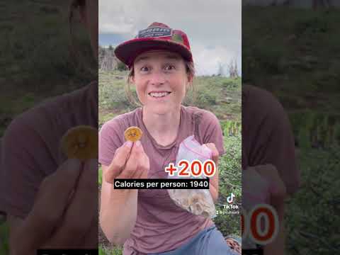 Everything we eat in a day on the CDT