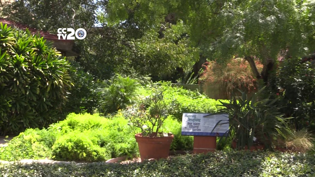 Xeriscape Gardening a Water-Smart Alternative