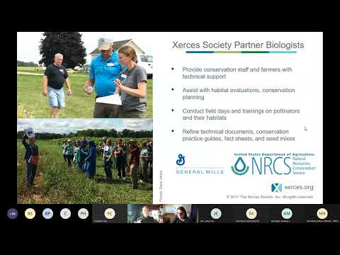 Designing Seed Mixes with Pollinators in Mind
