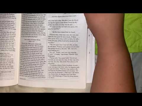 Hawaiian Pidgin Bible John 1