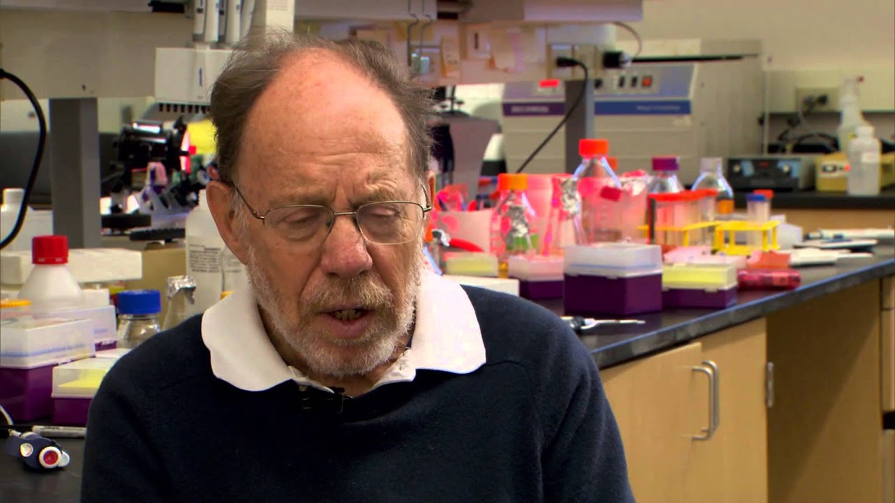 Purdue Virus Breakthrough
