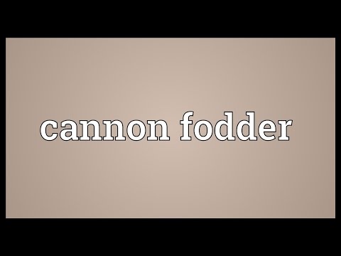 Cannon fodder Meaning