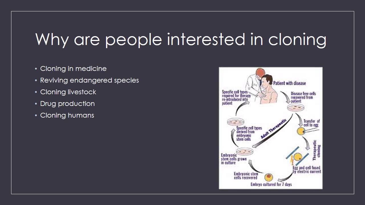 Cloning PowerPoint