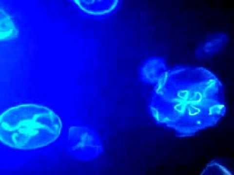 Steam Community :: Video :: More Glowy things