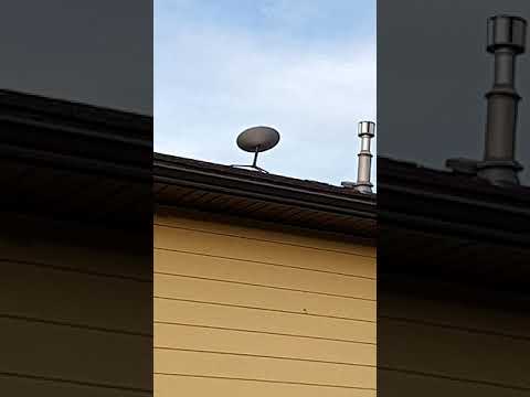 Starlink Dish (Dishy) putting up with 110 Km winds here in Southern Alberta. now you know!