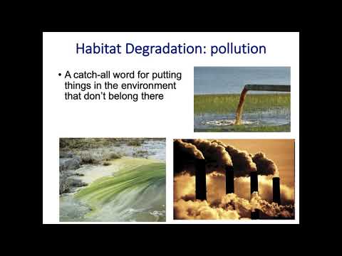 Habitat Degradation