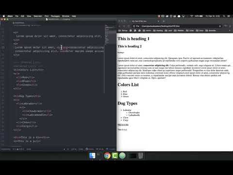Full Stack Web Developer Course: 1_7 - HTML Div and Span