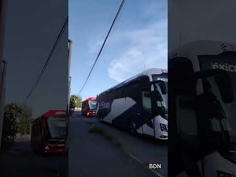 Futura y ADO. ¿Cuál prefieres? #senedine #autobuses #viaje #volvo #futura #ado #pozarica #like #view